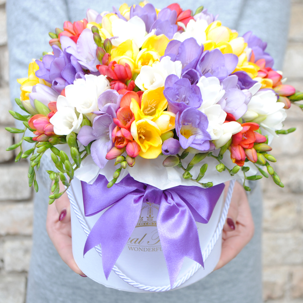 Frezijos dėžutėje! | RoyalFlowers.lt